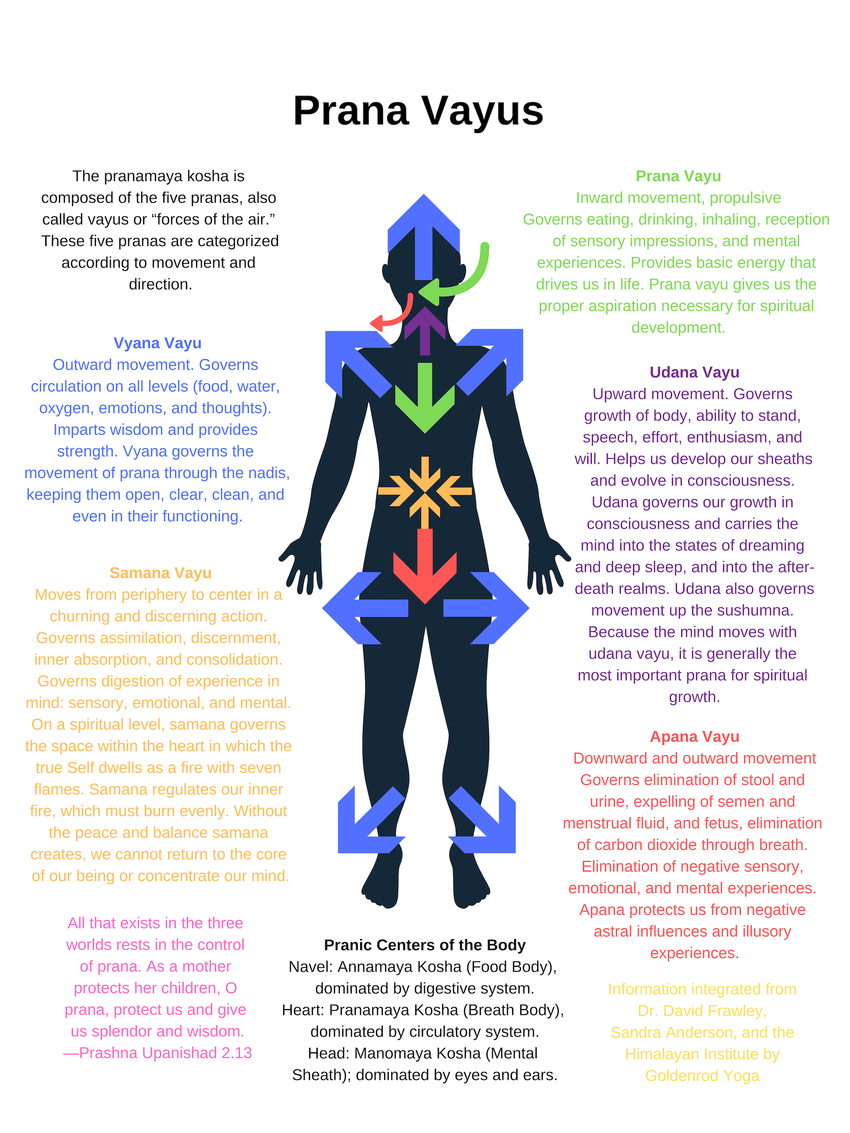 Prana Vayus – Fostered Wellness